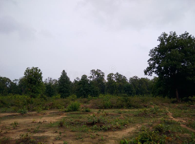 Nature of land stock photo. Image of trees, land, monsoon - 187877448