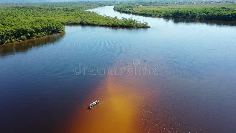 Nature Landscape of Amazon Rainforest. Amazon River Scenery Stock Image ...