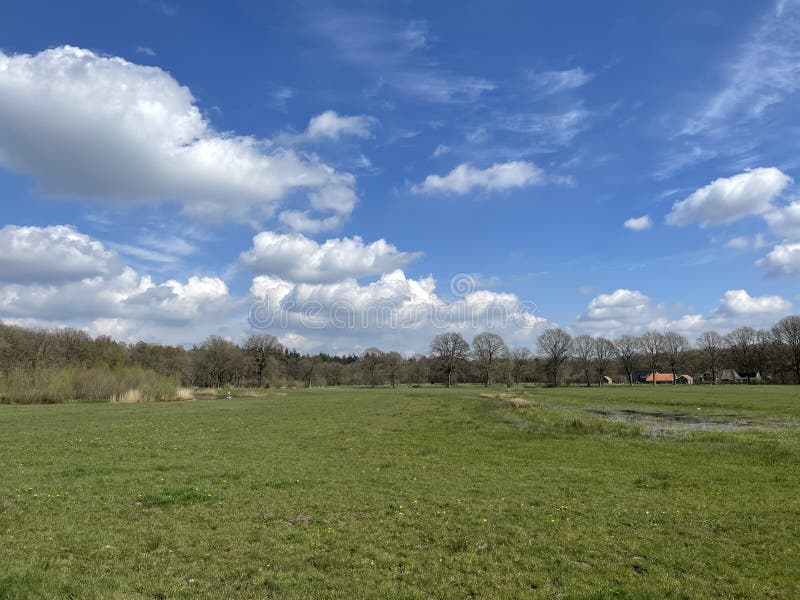 Nature Landscape Around Ommen Stock Photo - Image of ommen, river ...