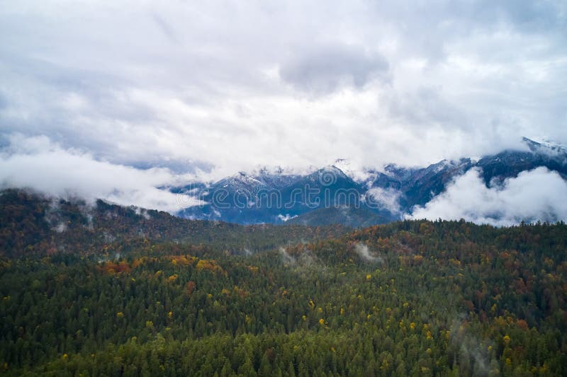 Nature Landscape of Beautiful Forest and Clear Blue Lake Stock Photo ...