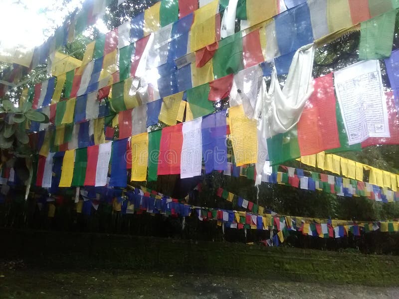 Beautiful Flags stock image. Image of nature, beautiful - 124934263