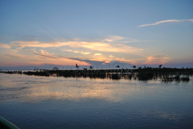 Nature Landscape with Birds Stock Image - Image of sunrise, lake: 255424097