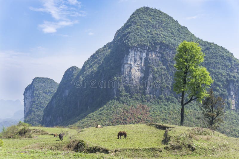 Nature landscape in China stock photo. Image of hiking - 73838464