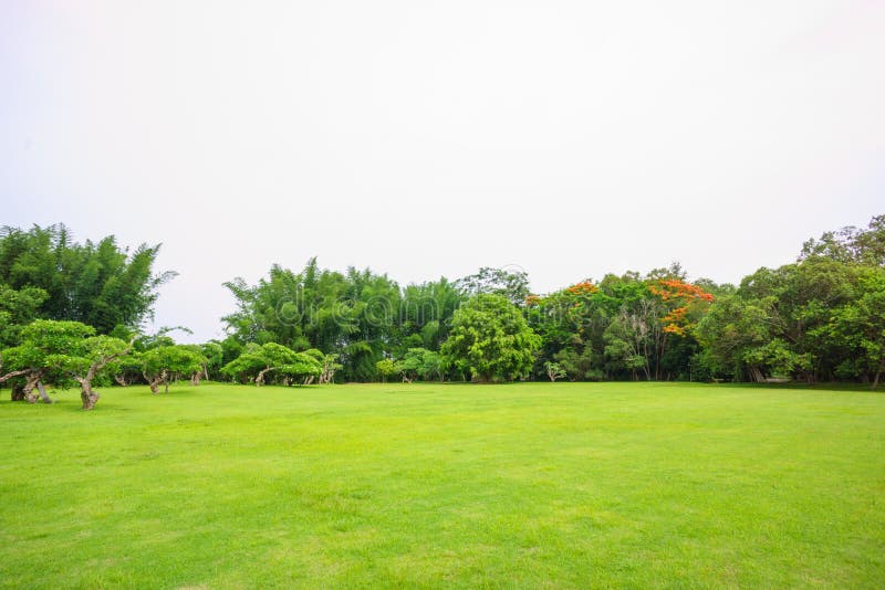 Nature landscape stock image. Image of mountain, wallpaper - 40837695