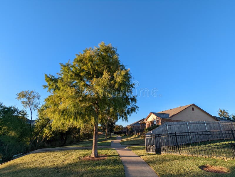 Nature Landscape of a Community Stock Photo - Image of community, urban ...