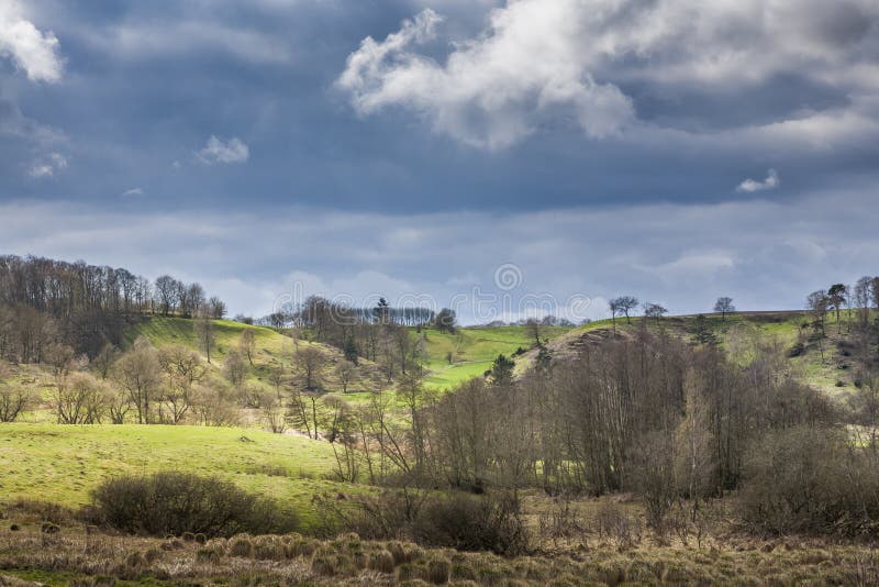 Nature Landscape with Fields and Trees Stock Photo - Image of scenery ...