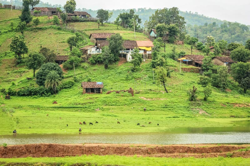 Nature Landscape Forest editorial photo. Image of greenery - 78761451