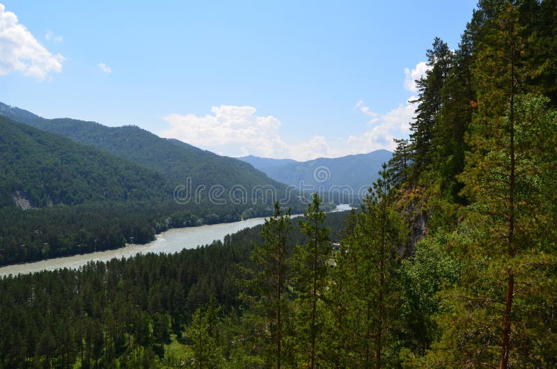 Nature Landscape Forest Tree River Stock Photo - Image of mountain ...
