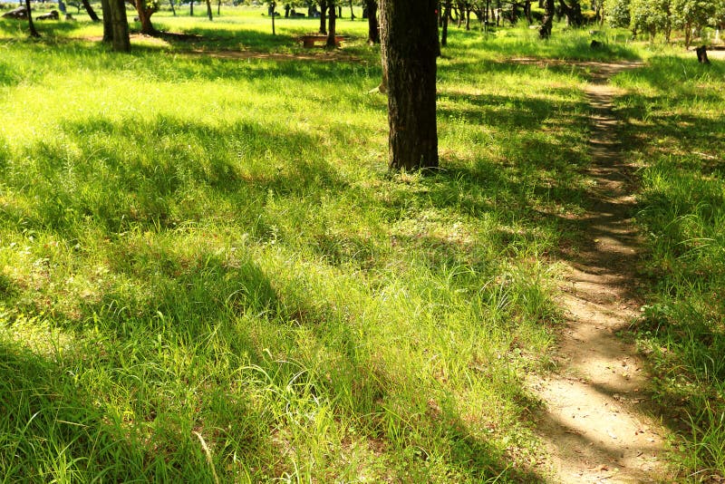 Grass Fields and Path Under Sunlight at Wakayama Castle Stock Photo ...