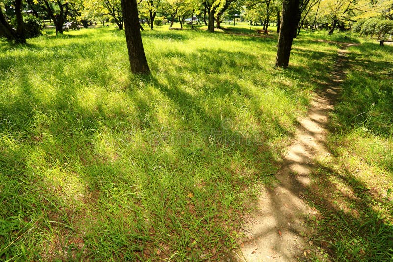Grass Fields and Trees with Path at Wakayama Castle Stock Image - Image ...