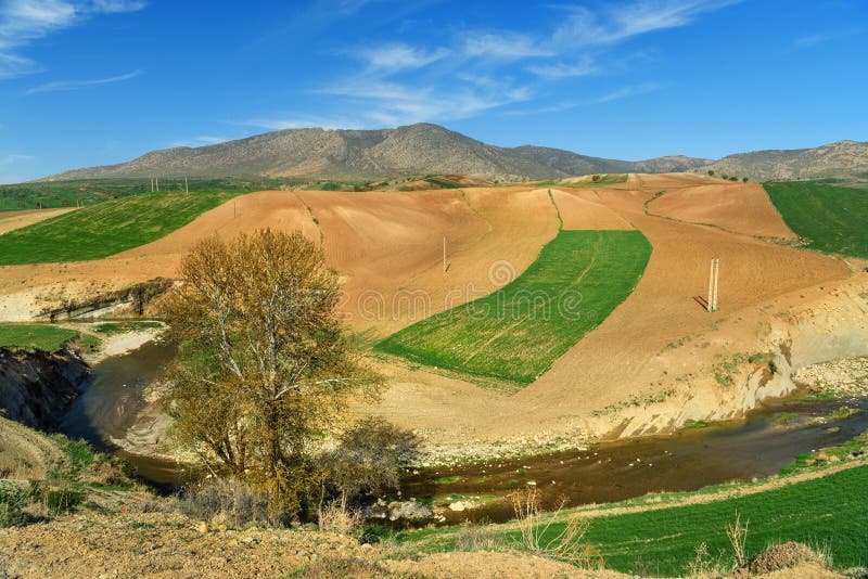 Nature Landscape in Lorestan Province. Iran Stock Image - Image of park ...