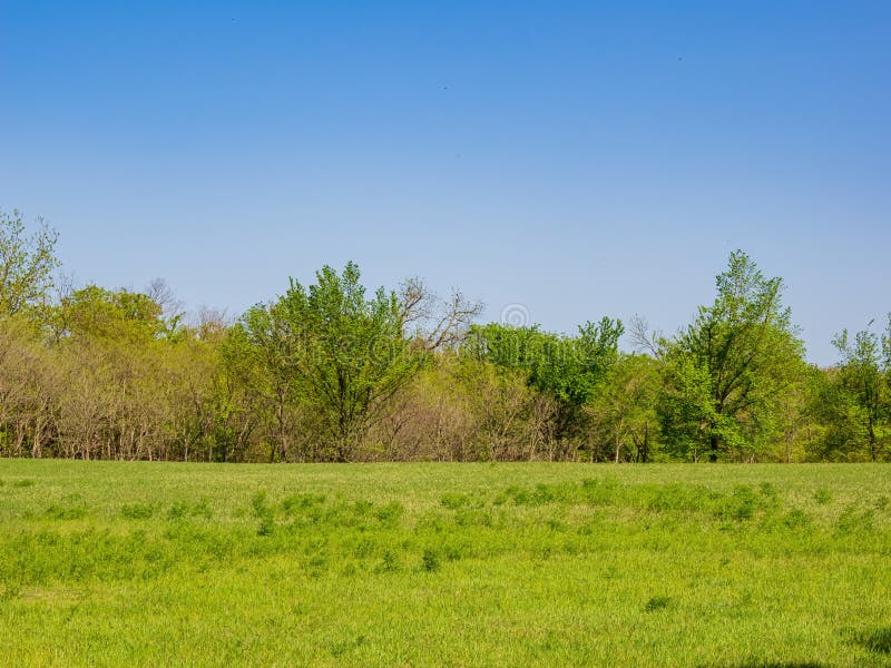 Nature Landscape of Martin Park Nature Center Stock Photo - Image of ...
