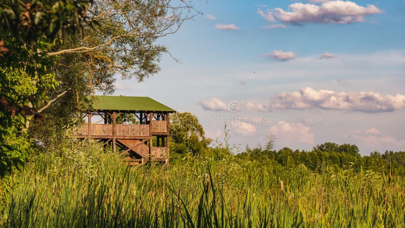 Nature Landscape Observation Point Stock Photo - Image of meadow ...