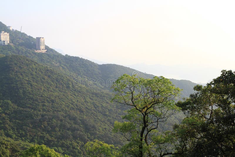 The Nature Landscape at the Peak, Hong Kong 2 April 2011 Stock Photo ...