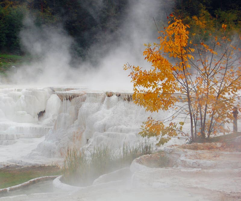 Nature Landscape with Salt Dome and Fog Stock Image - Image of leaf ...
