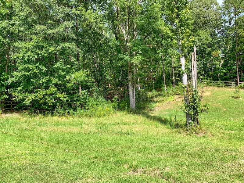 Nature and Landscape Setting Stock Photo - Image of fall, setting ...