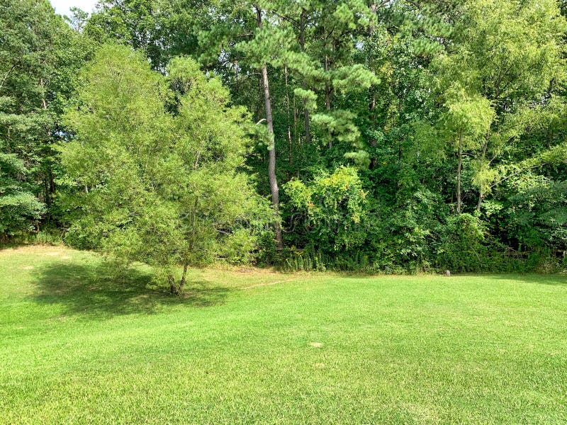 Nature and Landscape Setting Stock Photo - Image of weather, outdoors ...