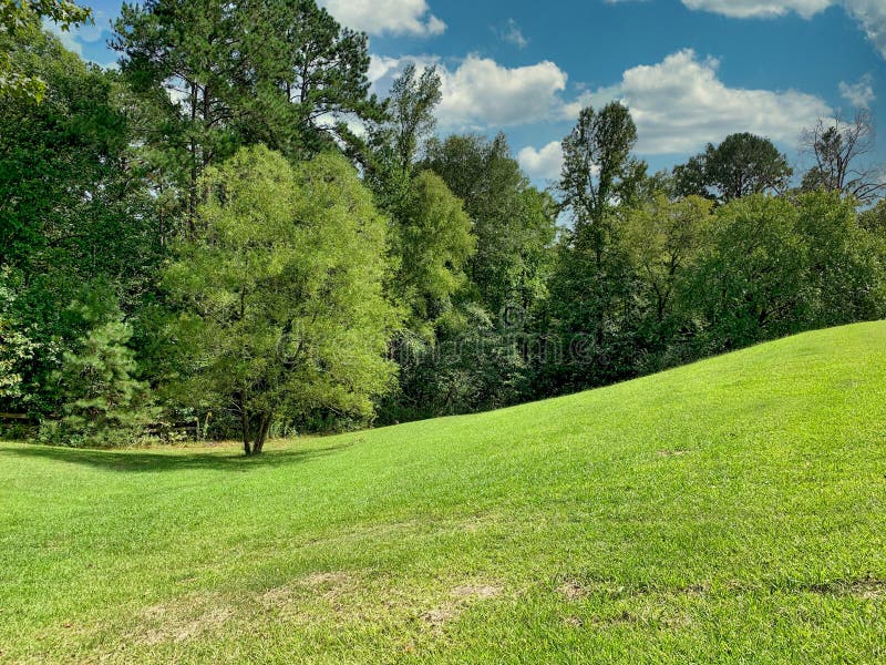 Nature and Landscape Setting Stock Photo - Image of weather, grass ...