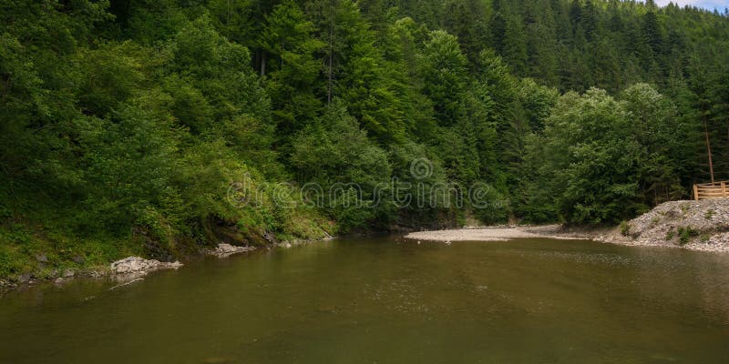 Nature Landscape with Shallow River Stock Image - Image of green ...