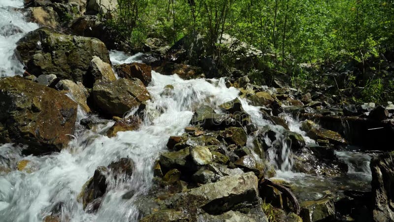 Stream and Rocks in Green Forest Stock Video - Video of ...