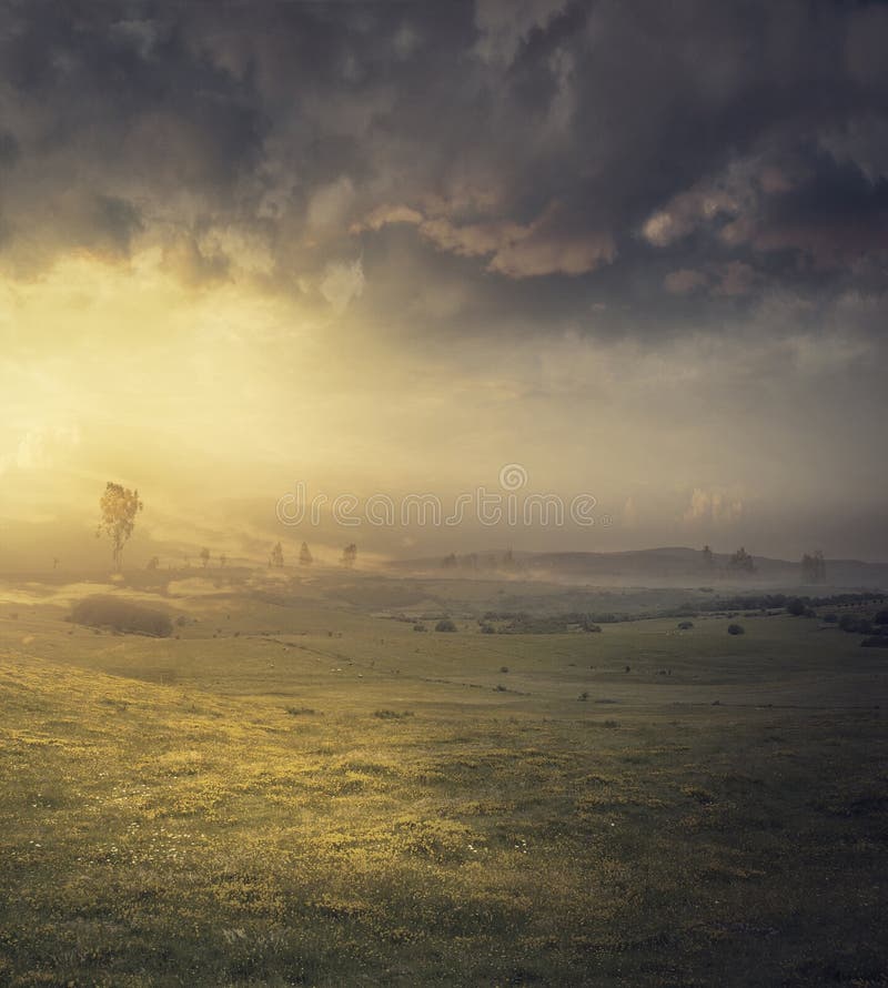 Nature Landscape, Sunset Over a Meadow, on the Evening Stock Image ...