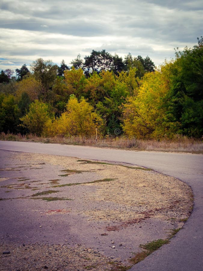 Nature Landscape Track Road Trees Autumn Stock Photo - Image of road ...