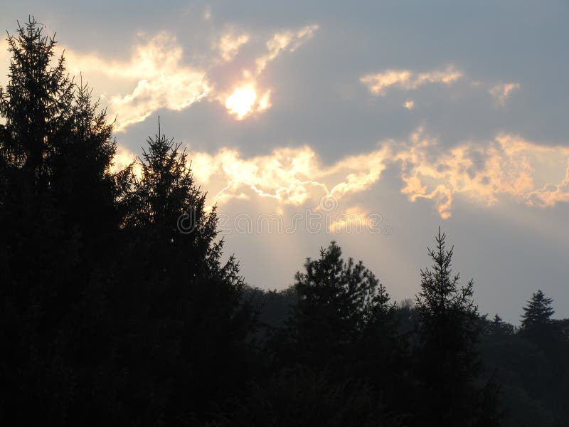 Nature stock photo. Image of sunny, trees, nature, clouds - 58607830