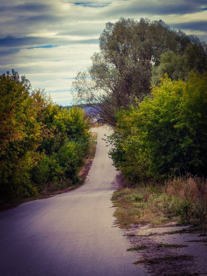 Nature Landscape Trees Road Autumn Sky Grass Stock Photo - Image of ...