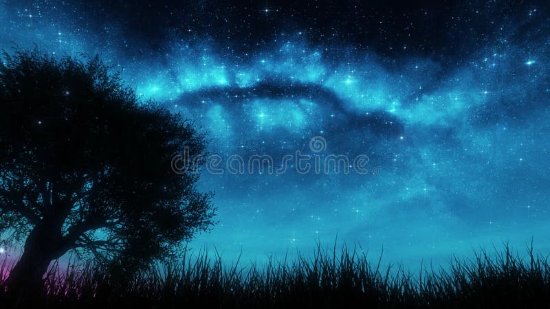 Magical Starry Sky by Night - View from a Grass Field - Loop Nature ...