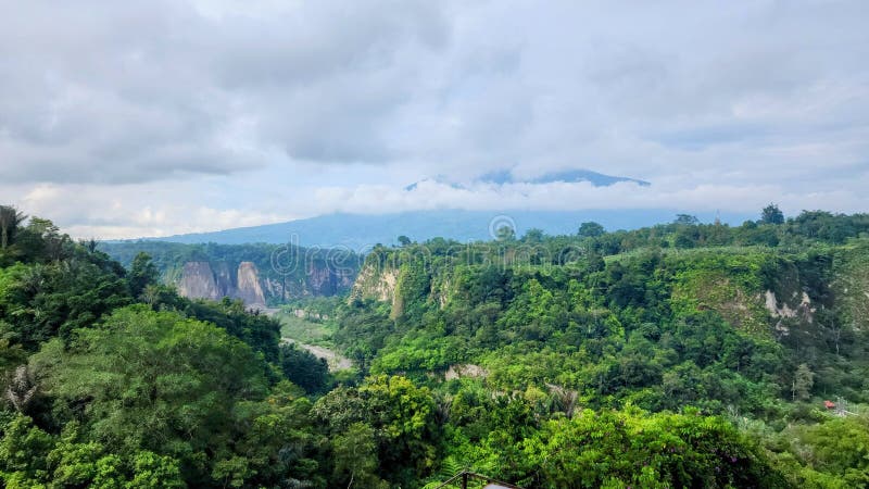 Nature Landscape with Valley and Mountain River and Rain Forest Stock ...