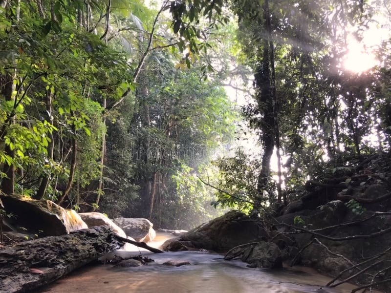 Nature and landscape. stock image. Image of color, trees - 261061201
