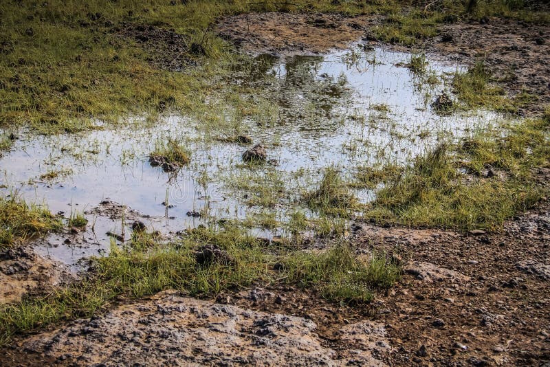 Colors of southern India stock image. Image of landscape - 114418151