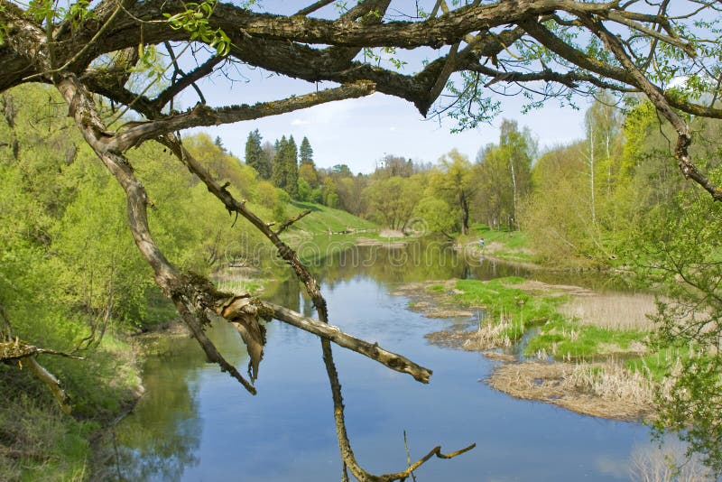 Nature Lanscape with River and Tree Stock Photo - Image of calm, hills ...