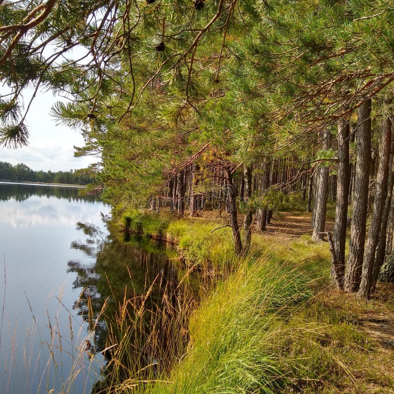 Nature stock photo. Image of latvia, autumn, nature - 135373064