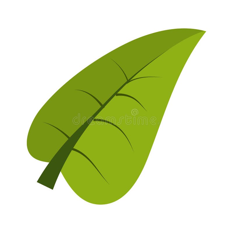 Nature leaf cartoon stock vector. Illustration of flora - 144485038