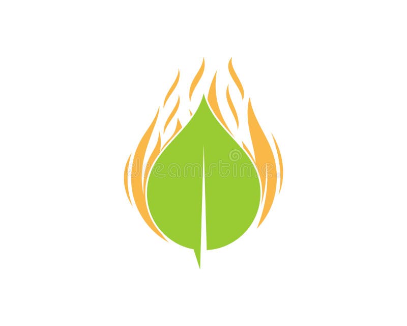 Nature Leaf with Fire Flame Logo Stock Illustration - Illustration of ...