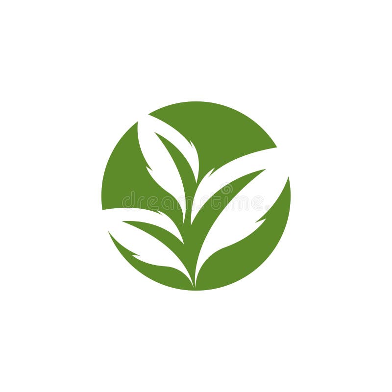 Nature Leaf Icon and Symbol Template Vector Stock Vector - Illustration ...