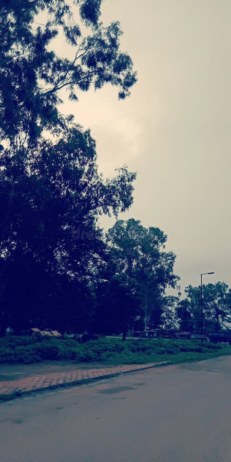 Nature stock photo. Image of road, nature, leafsky, greenery - 122328822