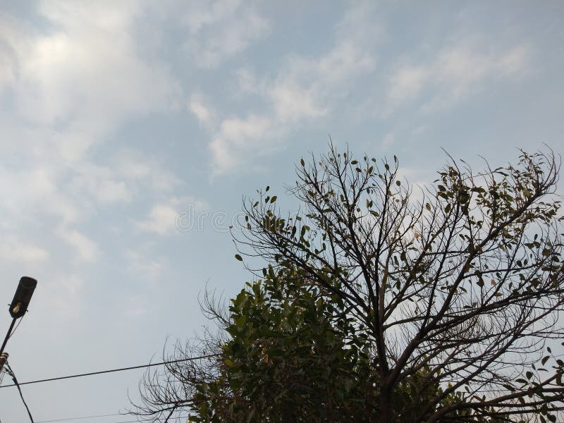 Nature stock photo. Image of nature, view, great, tree - 152894186