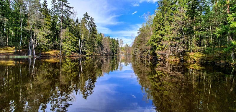 Nature Lithuania Sky Pond Taurage Stock Image - Image of wilderness ...