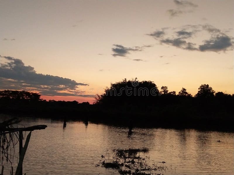 NATURE of LOVELY ASSAM stock image. Image of evening - 129013983