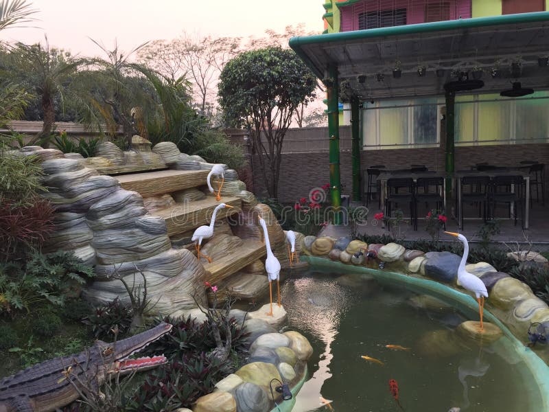 Nature stock image. Image of sleep, nature, dream, place - 113667189