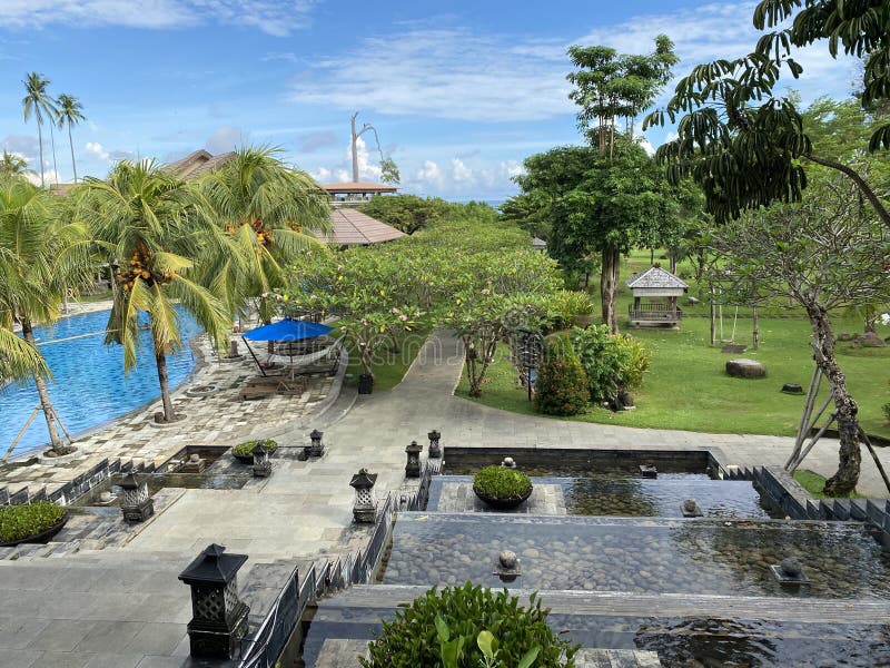 Nature make us feel cozy stock image. Image of flower - 266071005