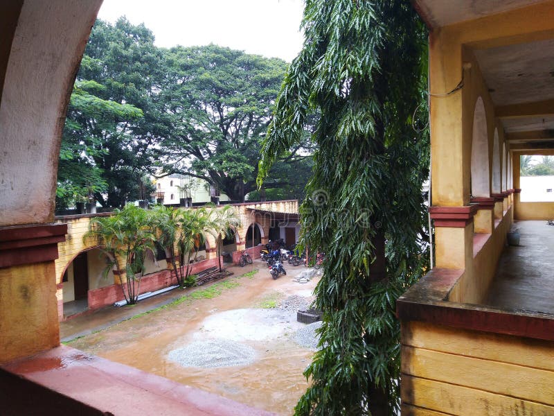 Nature in malnad area stock image. Image of nature, hassan - 124491579