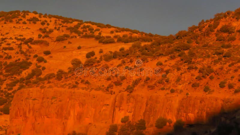 Nature maroc forest debdou stock photo. Image of canyon - 268967908