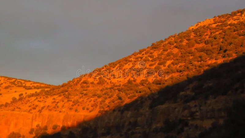 Nature maroc forest debdou stock image. Image of orange - 269089497
