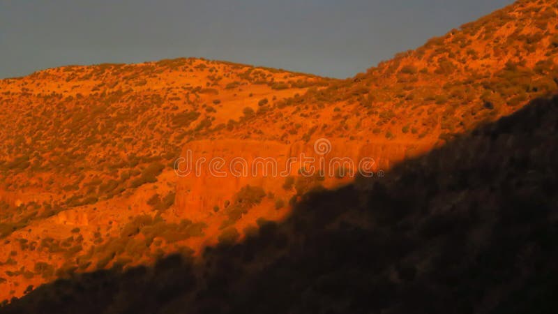 Nature maroc forest debdou stock photo. Image of forest - 269089514