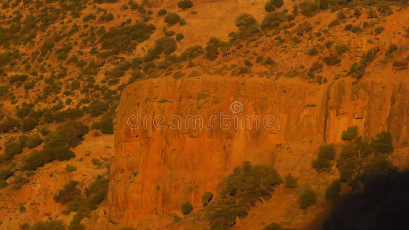 Nature maroc forest debdou stock image. Image of geology - 269089549