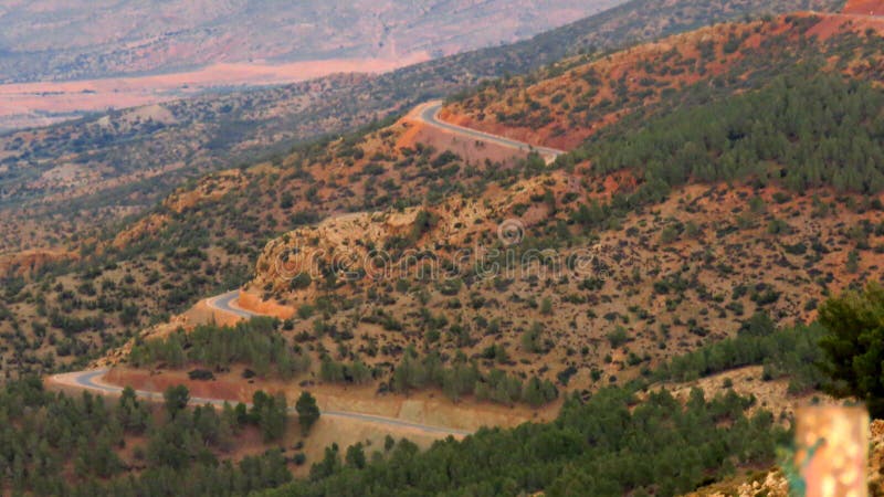 Nature maroc forest debdou stock image. Image of landscape - 269089655