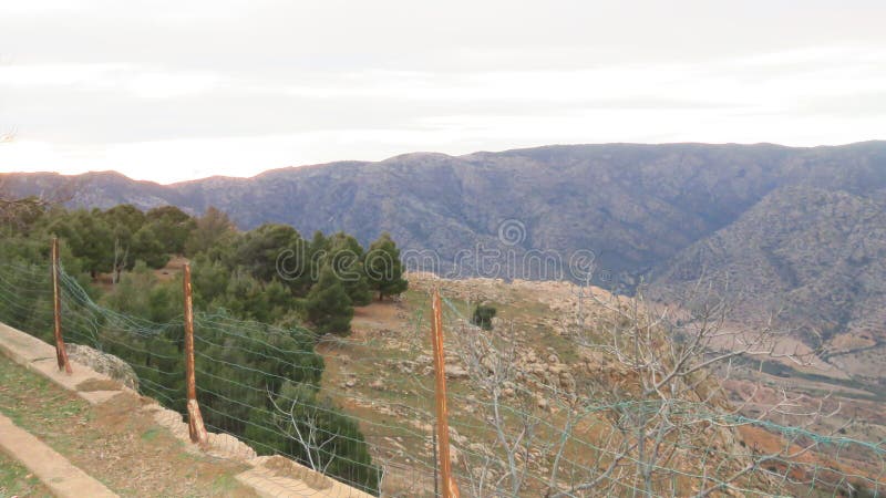 Nature maroc forest debdou stock photo. Image of debdou - 269089814